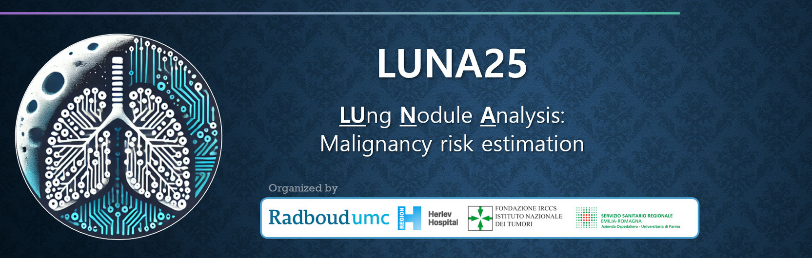 𝗔𝗜: Algorithm Submissions - The LUNA25 Challenge - Grand Challenge